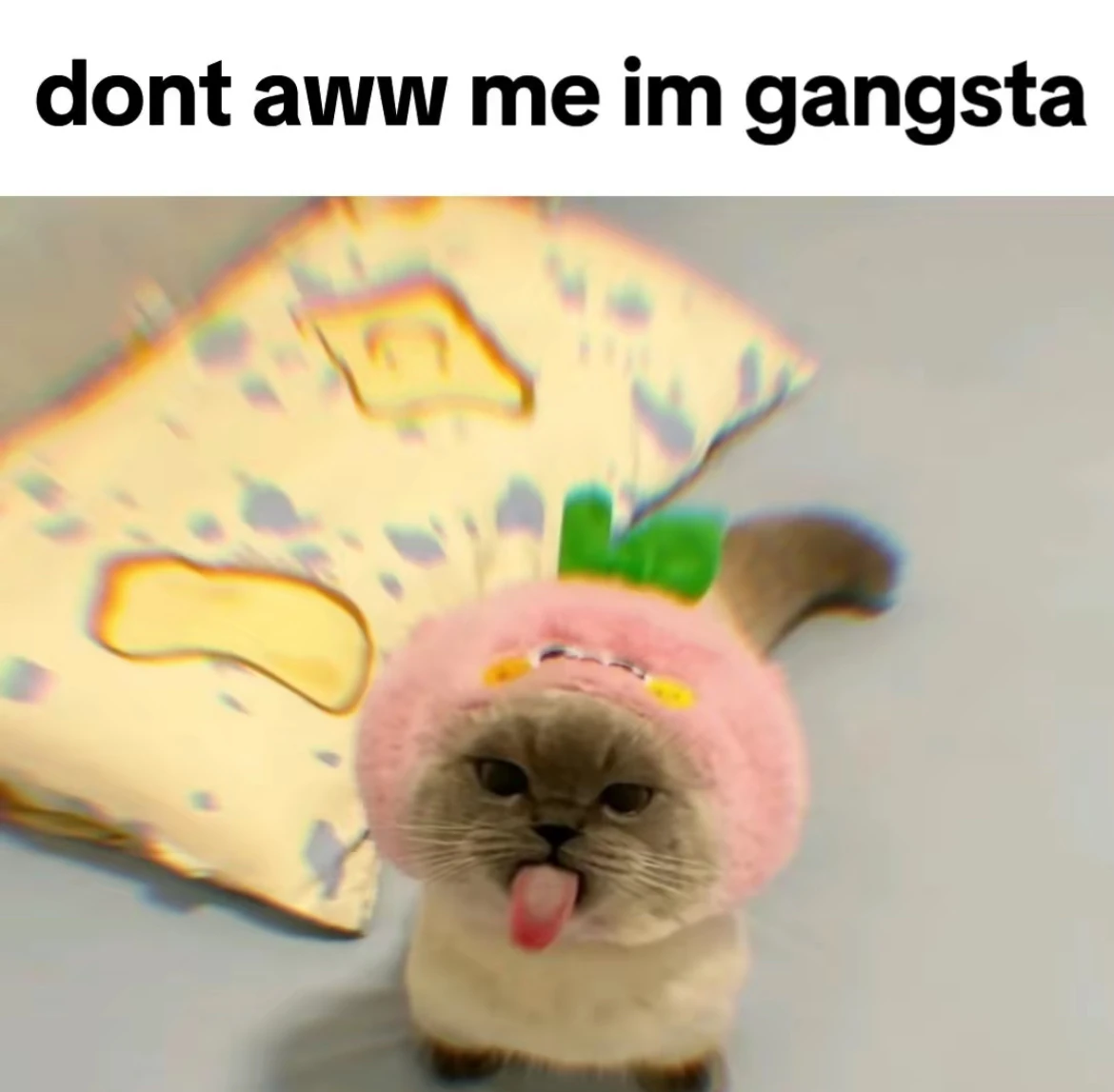 seraphim (bloood??) | Fandom