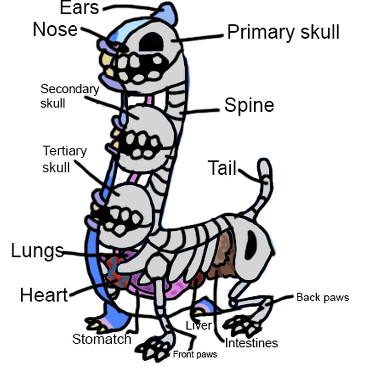 Monster Anatomy's Back 01!!! | Fandom