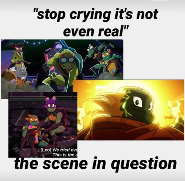 TMNT Meme Of The Day | Fandom