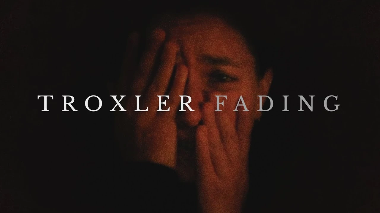 Troxler Fading (daily horror #345 | Fandom