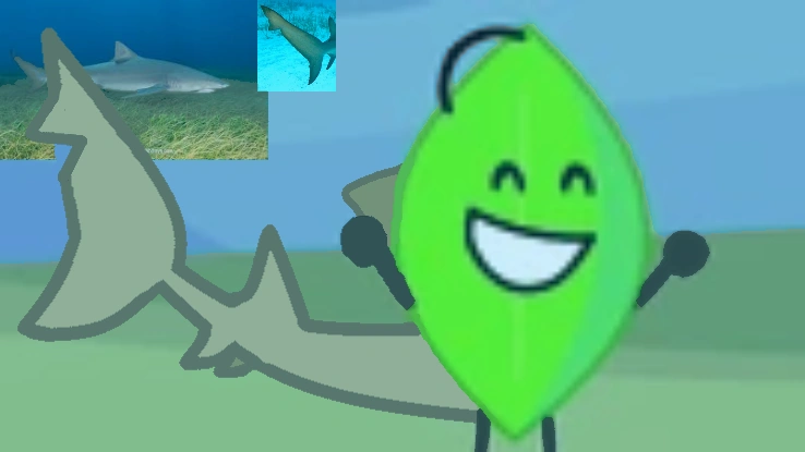 bfdl stuff (bfdi au) | Fandom