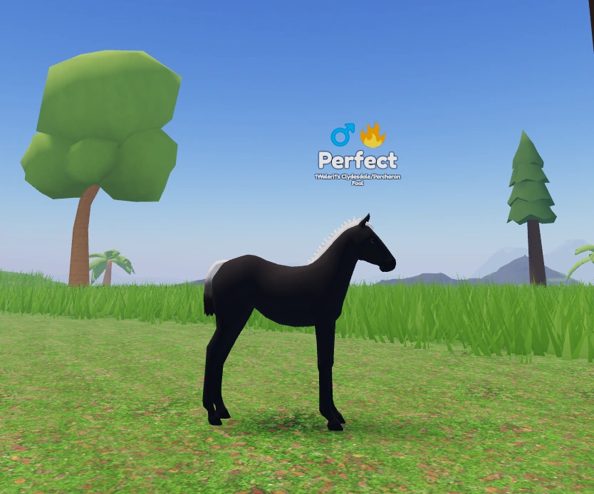 Mine dream came true... (*I am crying*)!!! | Fandom