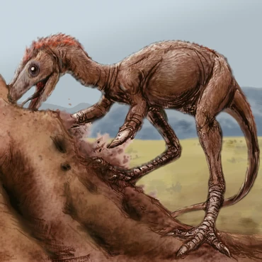 Discuss Everything About Dinopedia | Fandom