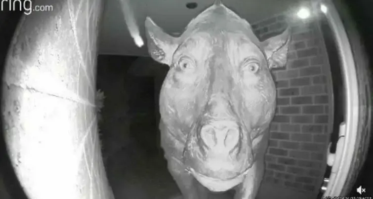 TPOT 16 leak (click here) | Fandom