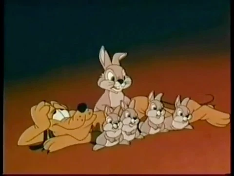 Possible Pluto Picture | Fandom