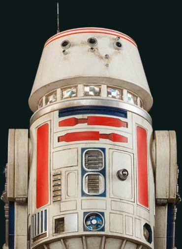 Discuss Everything About Wookieepedia | Fandom