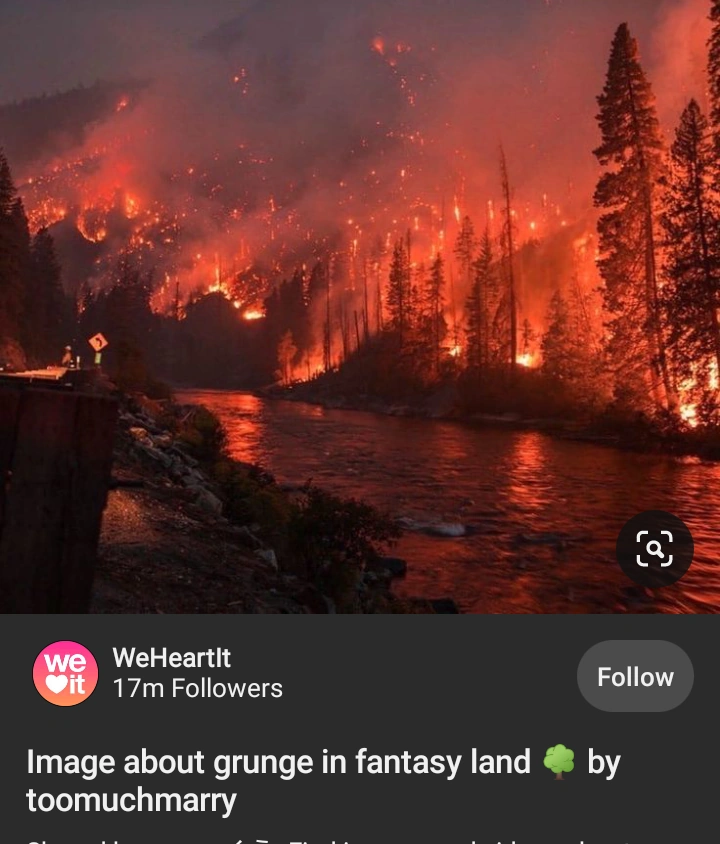 "Aesthetic" | Fandom