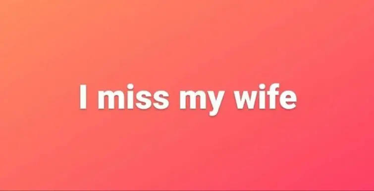 i miss my wife | Fandom