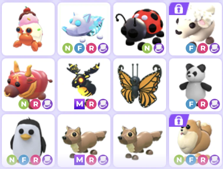 Discuss Everything About Adopt Me! Wiki | Fandom