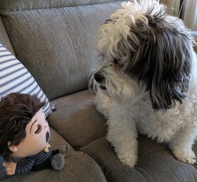 guys i think we found gibby | Fandom