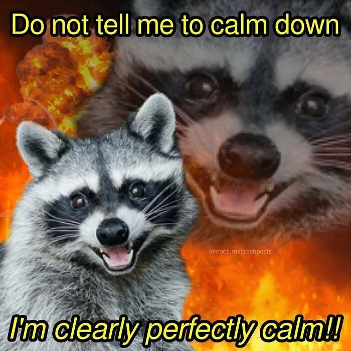My favourite characters portrayed by raccoon memes, bc why not? | Fandom