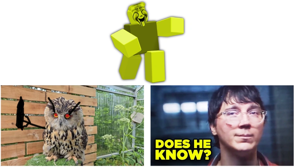 Who... is next? | Fandom