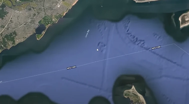 Beluga Address | Fandom