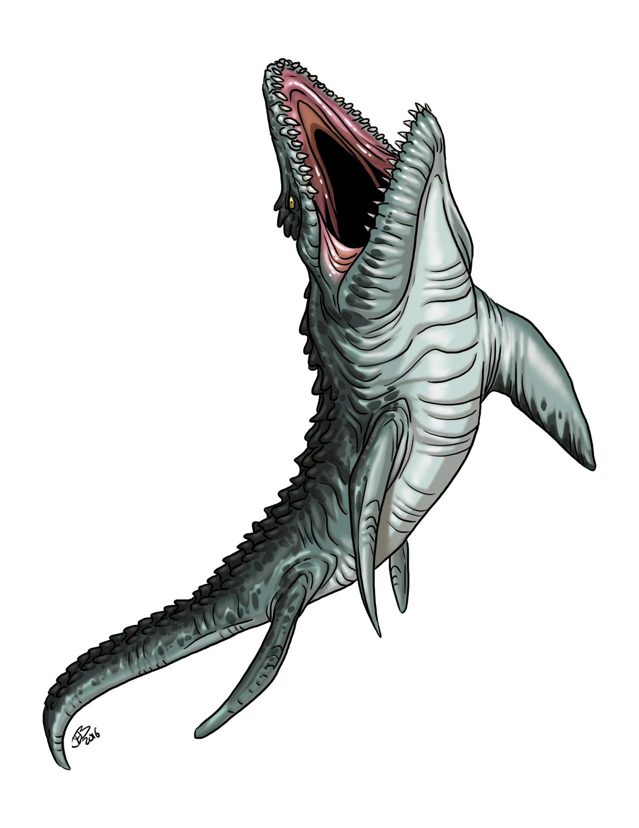 All Models for JWA 4.2 (So Far) | Fandom