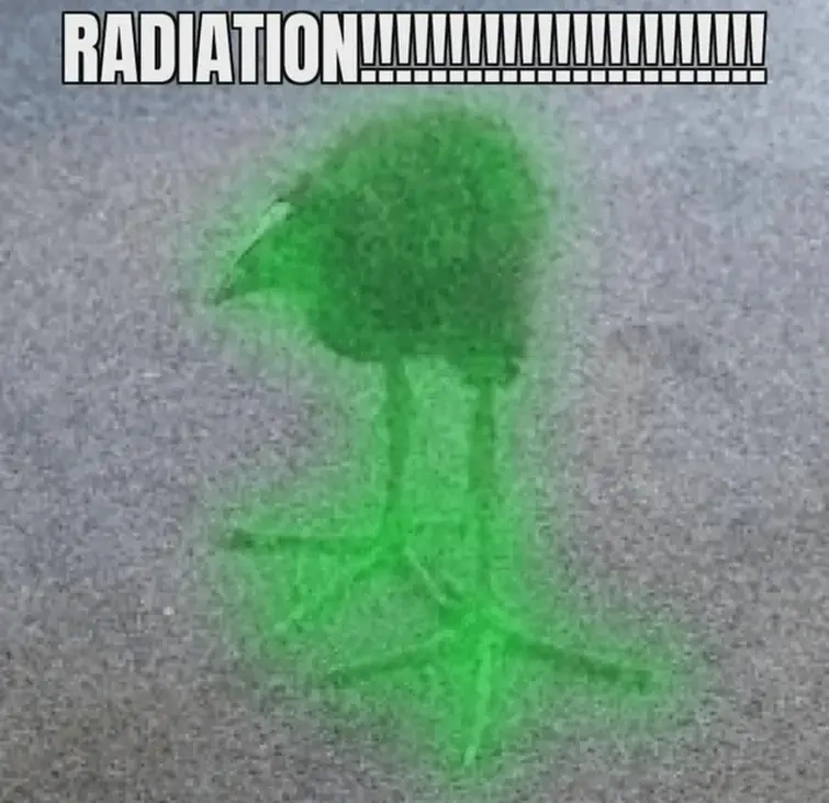 I ALWAYS come back | Fandom