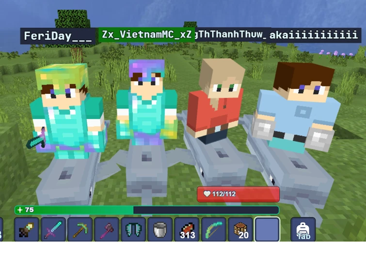 WE ARE... DOLPHIN ARMY!!! | Fandom