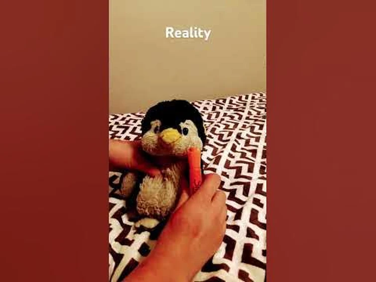 This is the worst video I have ever made hands down | Fandom