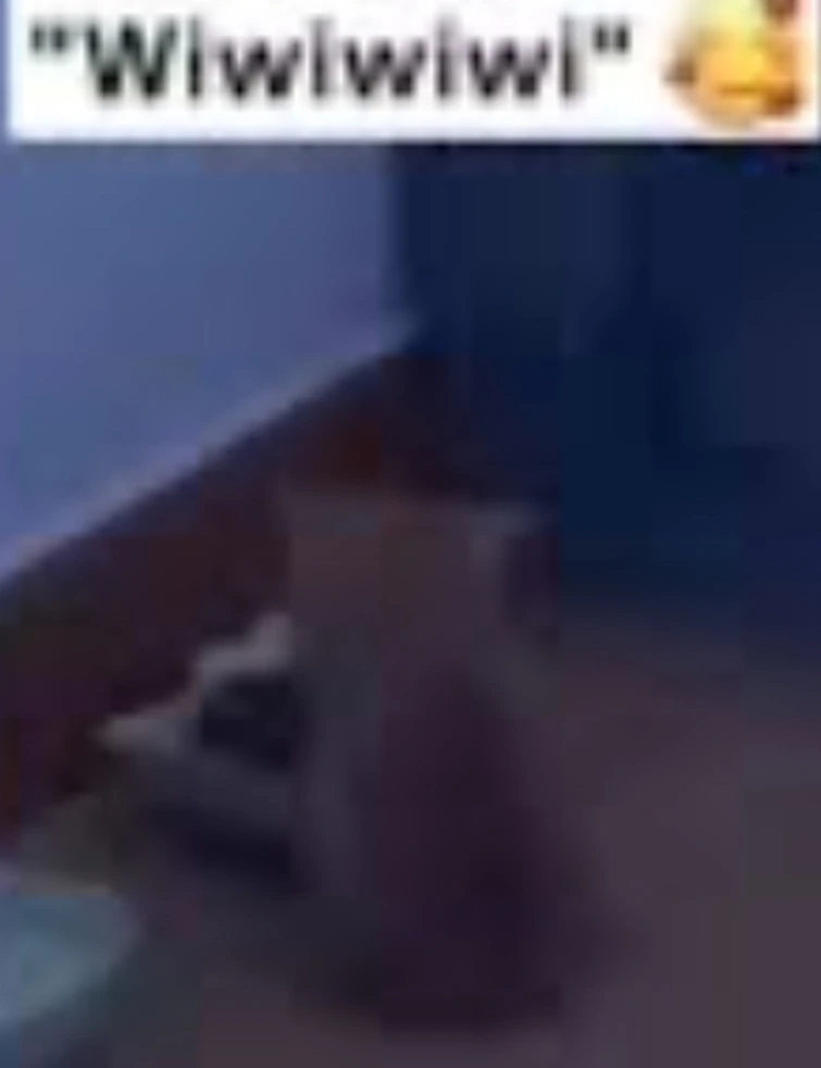 what the hell just happend to my profile | Fandom