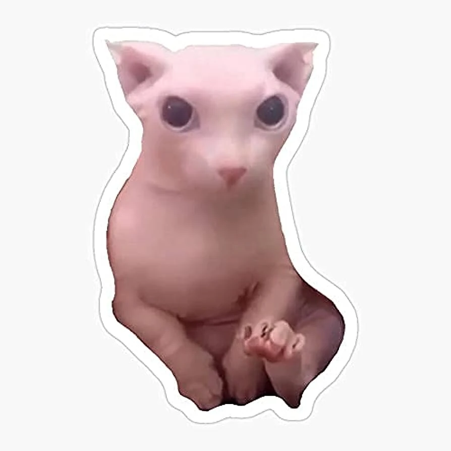 this is the newest monster named bingus. | Fandom