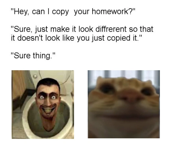 Boppity cat be like: | Fandom