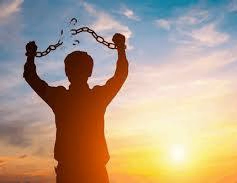 IM FREE, MS4 NOOB | Fandom