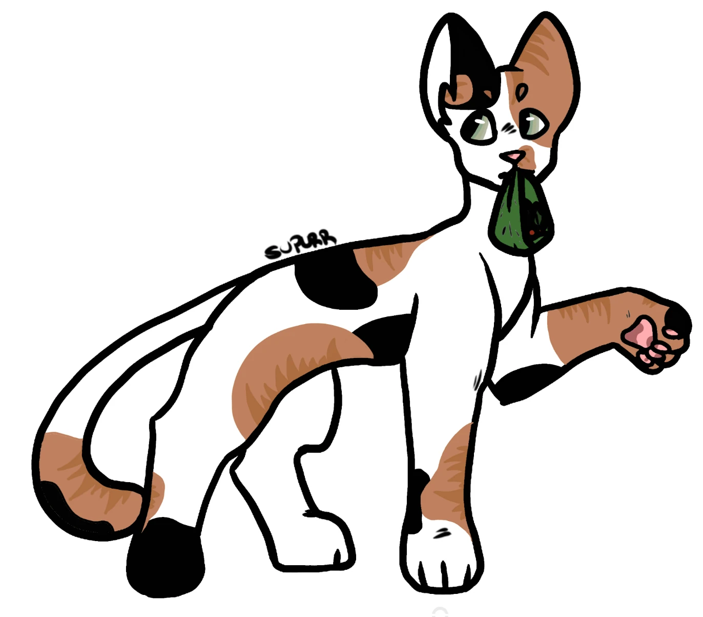 New Meddy Cat OC! (Base by Rockyspotted) | Fandom