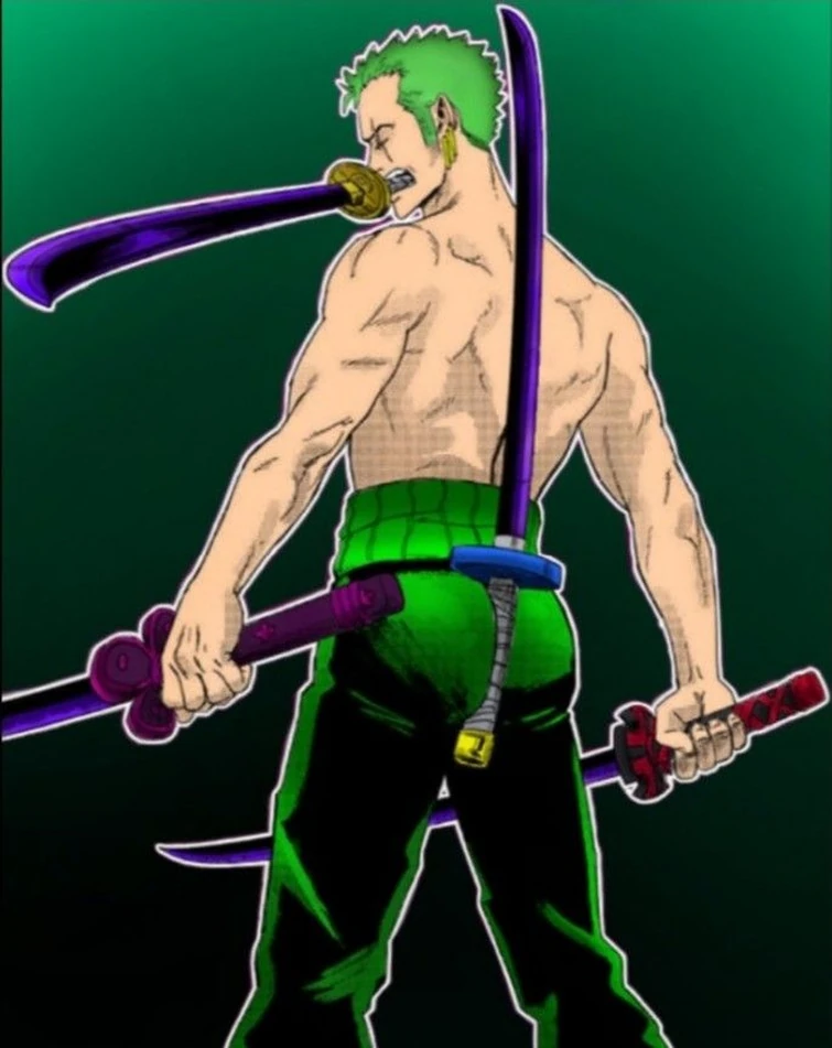 bruh really got me doing Zoro 4 Swords Style 6 Star | Fandom