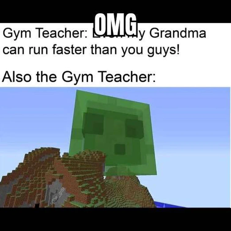 Minecraft Memes #2 | Fandom