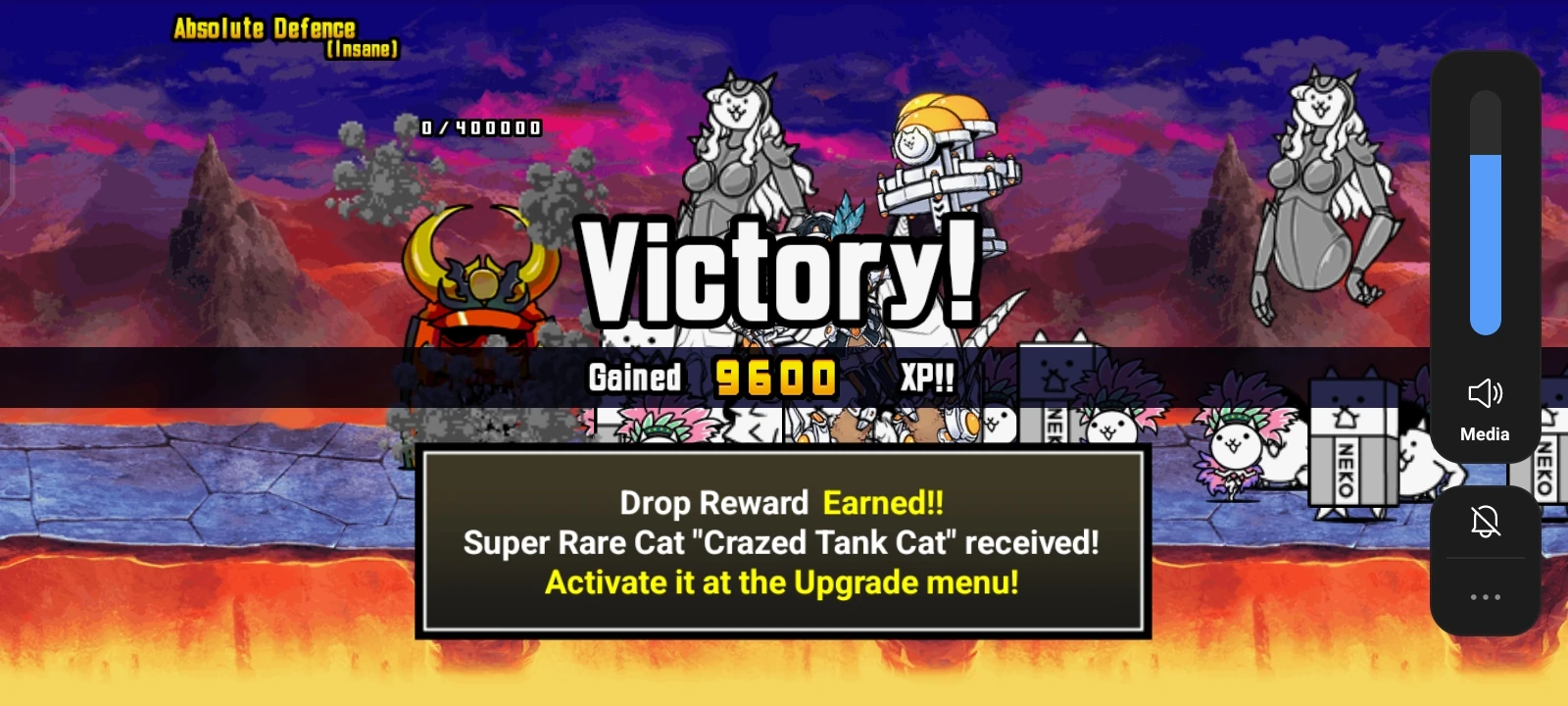 I got crazed tank cat | Fandom