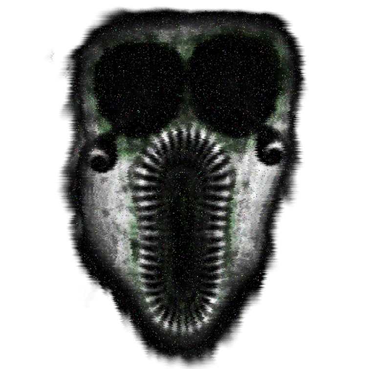 ambush remake for fun :) | Fandom