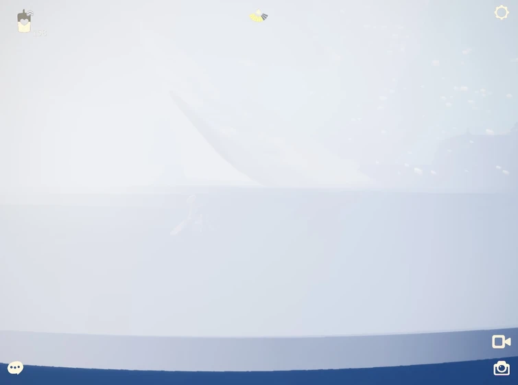 Elder manta pictures! | Fandom