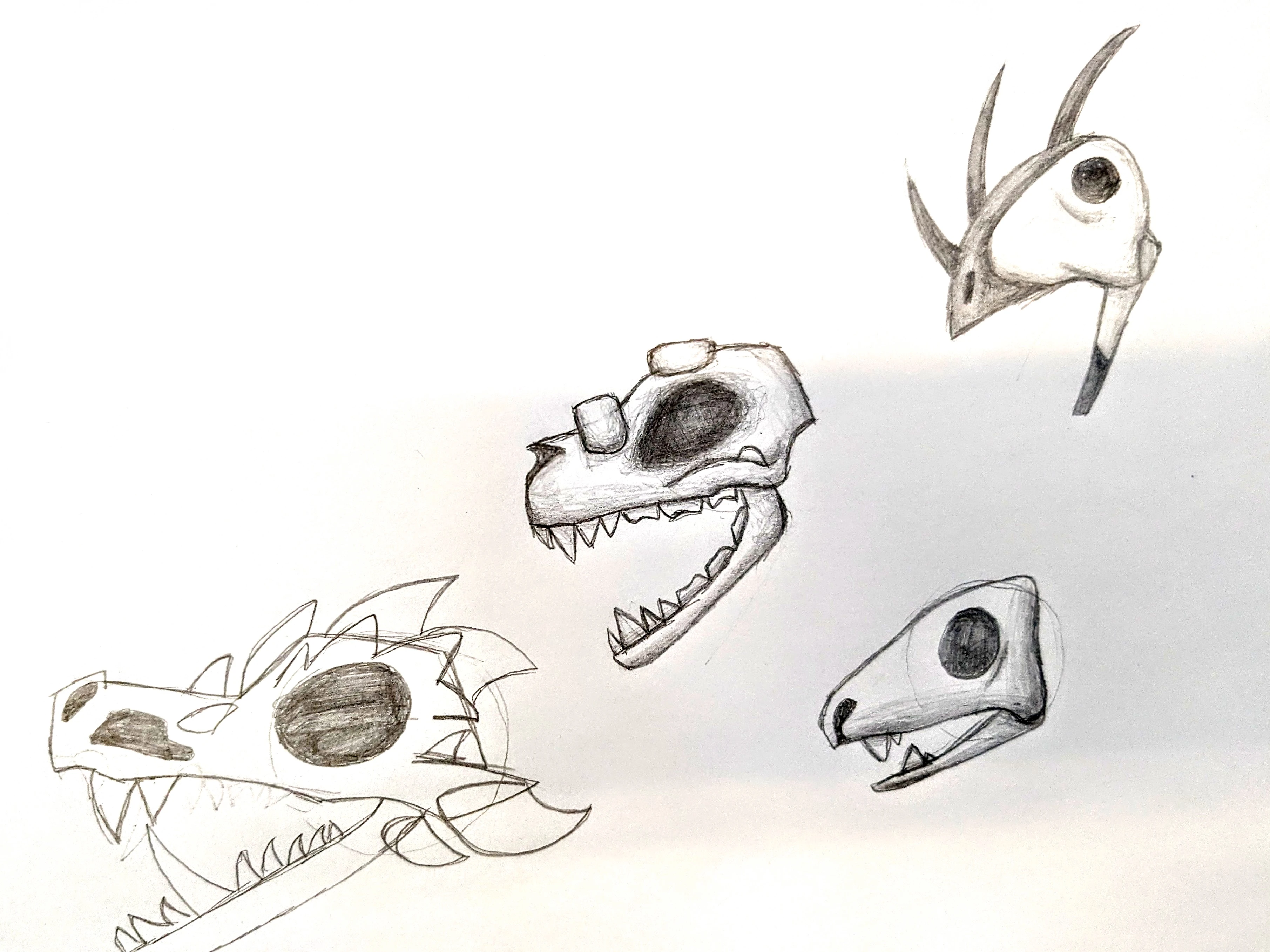 Guess what creature skulls I drew | Fandom