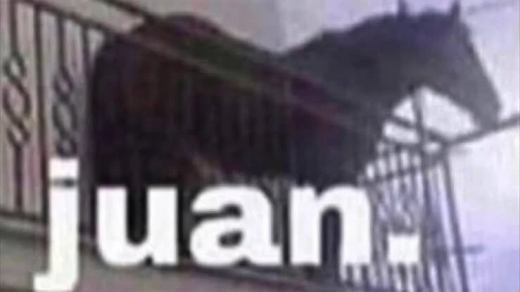 Juan. | Fandom