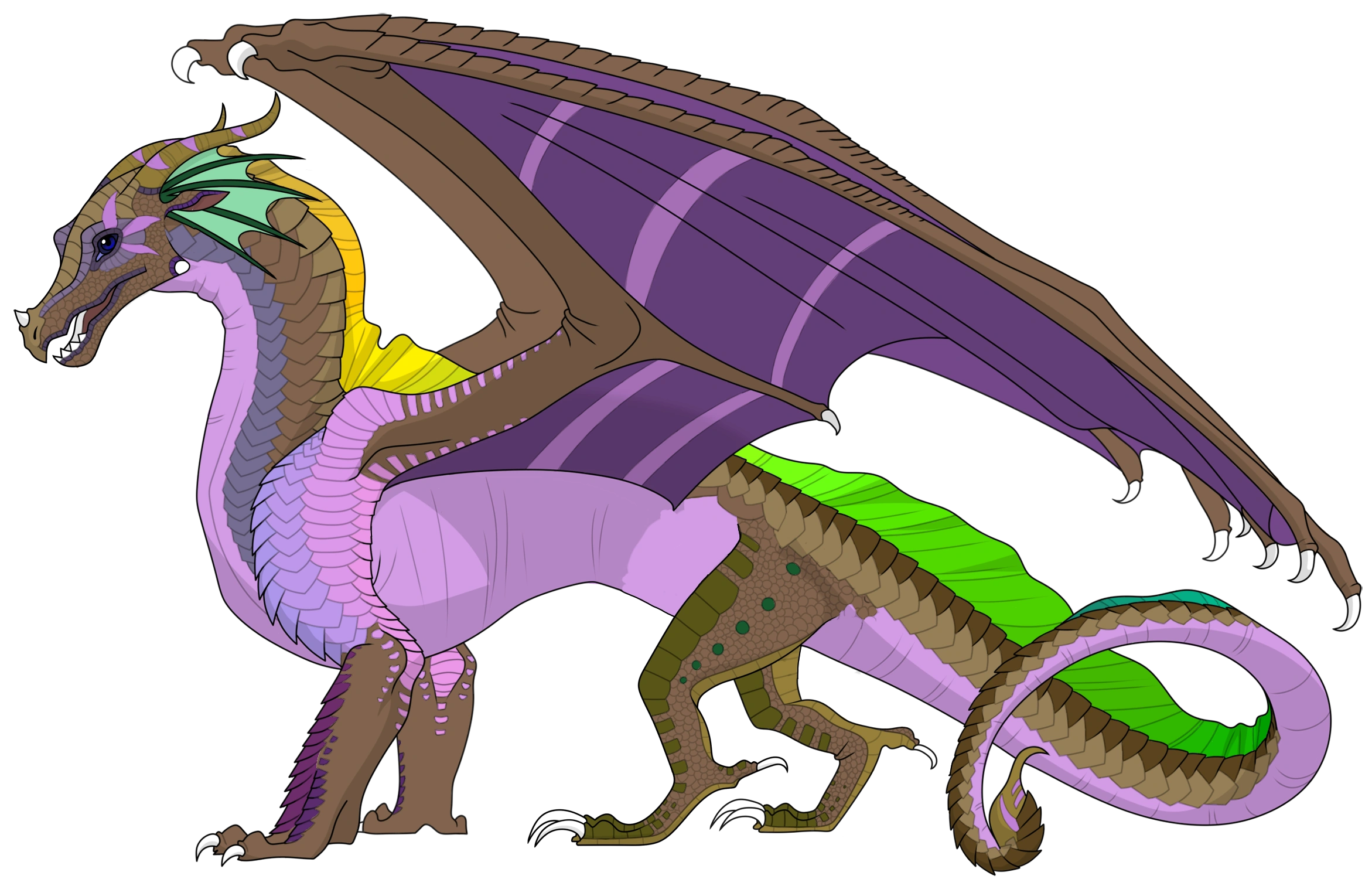 New Viceroy Ref! | Ask My OC! | Fandom