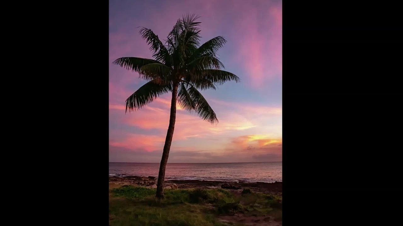 One of my Lostwave uploads has amassed over 1K views! | Fandom