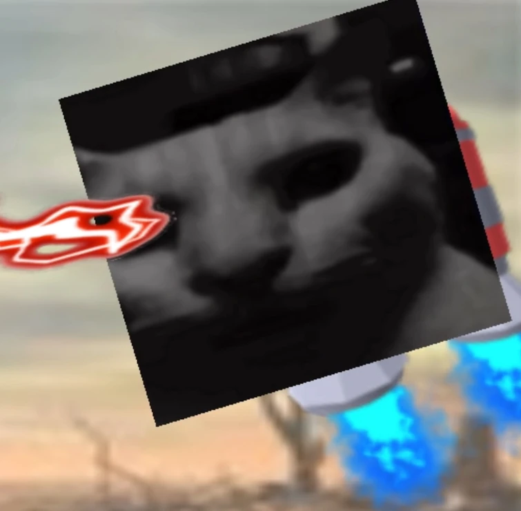 Boppity cat 20 sneak peeks! | Fandom