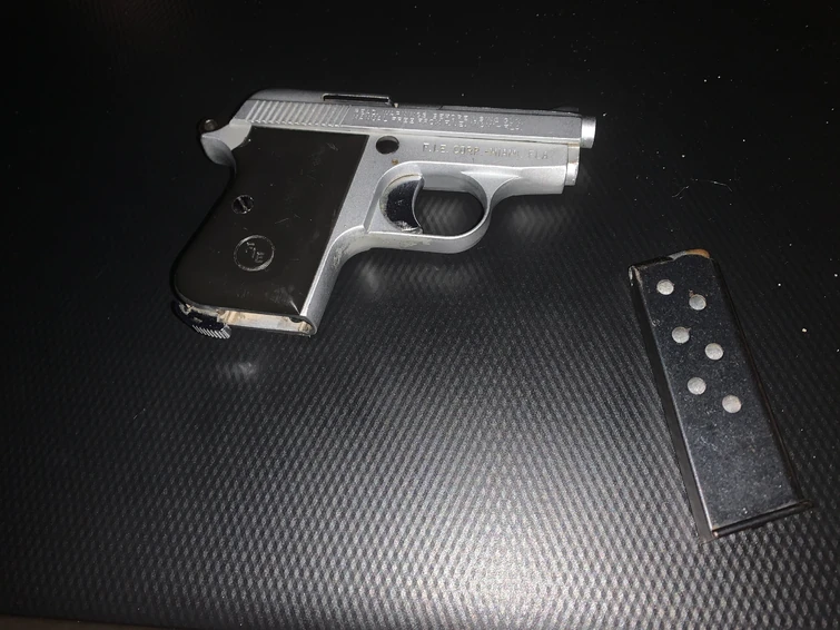 Ayo what gun is this? | Fandom