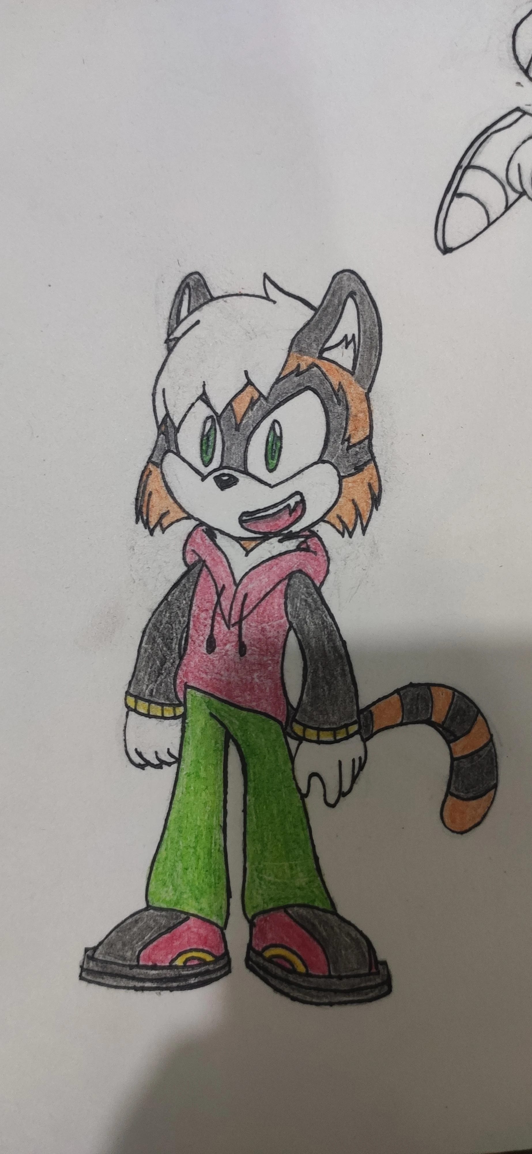 My Sonic oc: Tomi the tiger | Fandom
