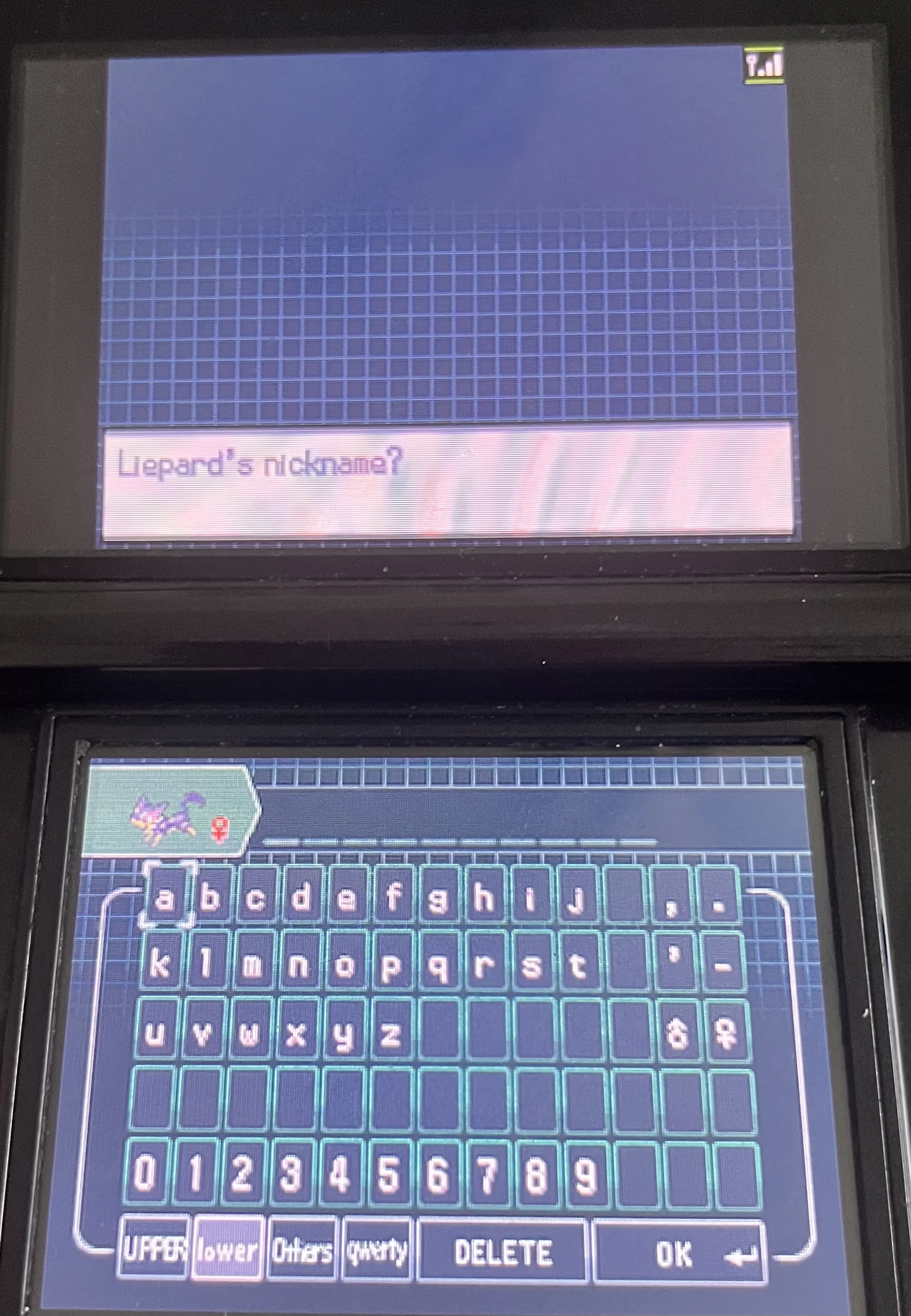 Naming time! | Fandom