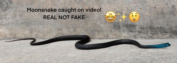 wof memes i made, Please comment, even if you just say Potato or ...