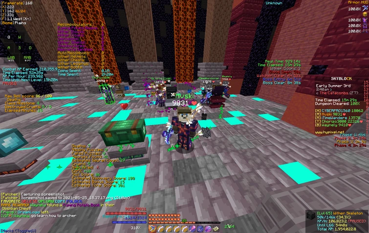 Discuss Everything About Hypixel SkyBlock Wiki | Fandom