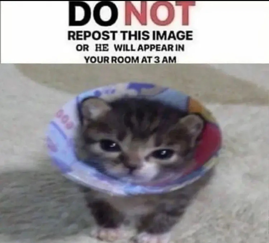 hi guys I need the demented cat pictures Mel and cart use | Fandom