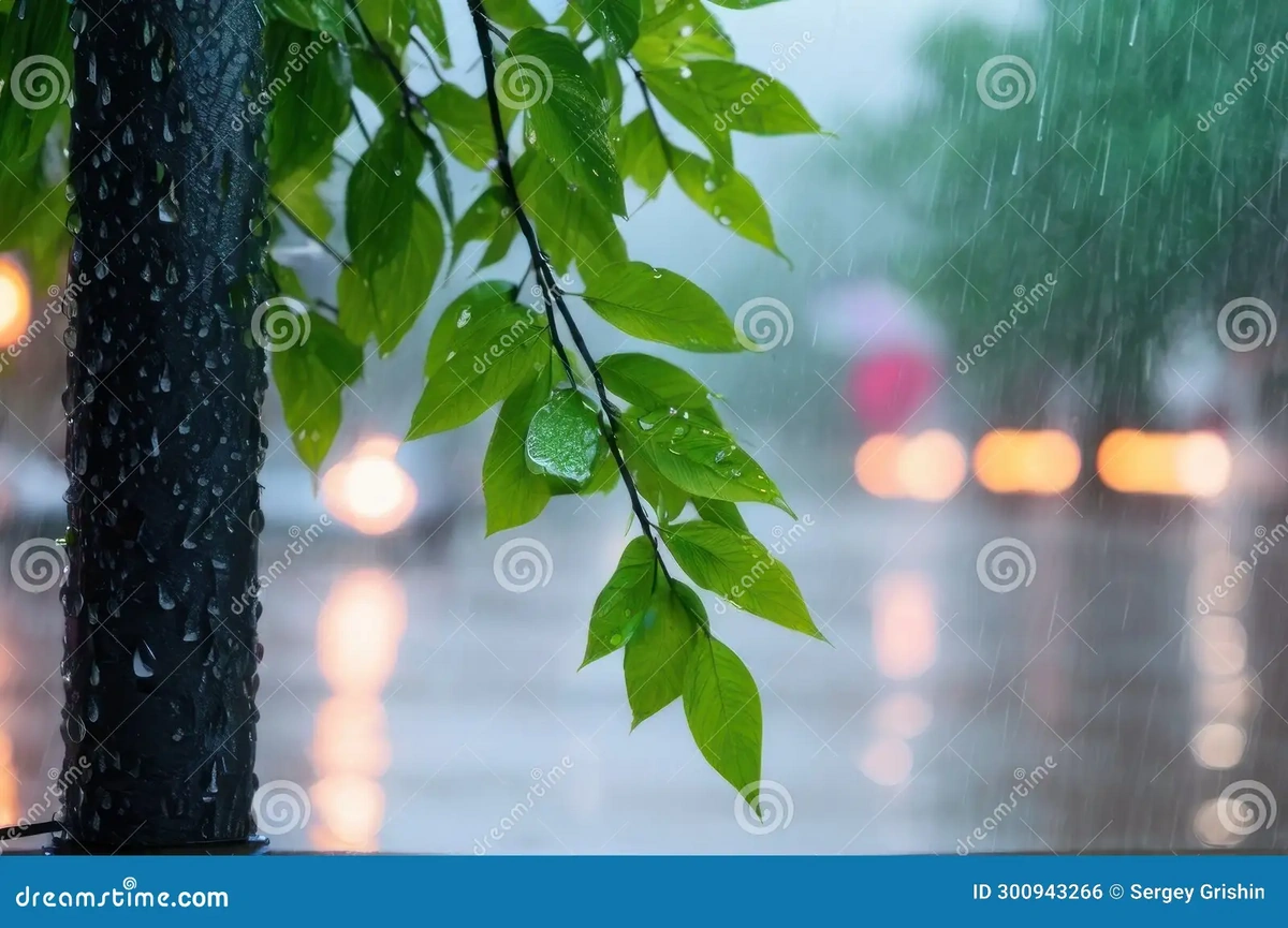 My first level of the backrooms | Fandom