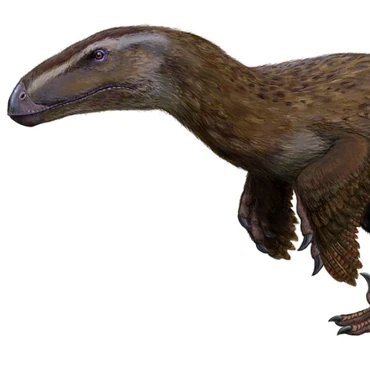 Discuss Everything About Dinopedia | Fandom