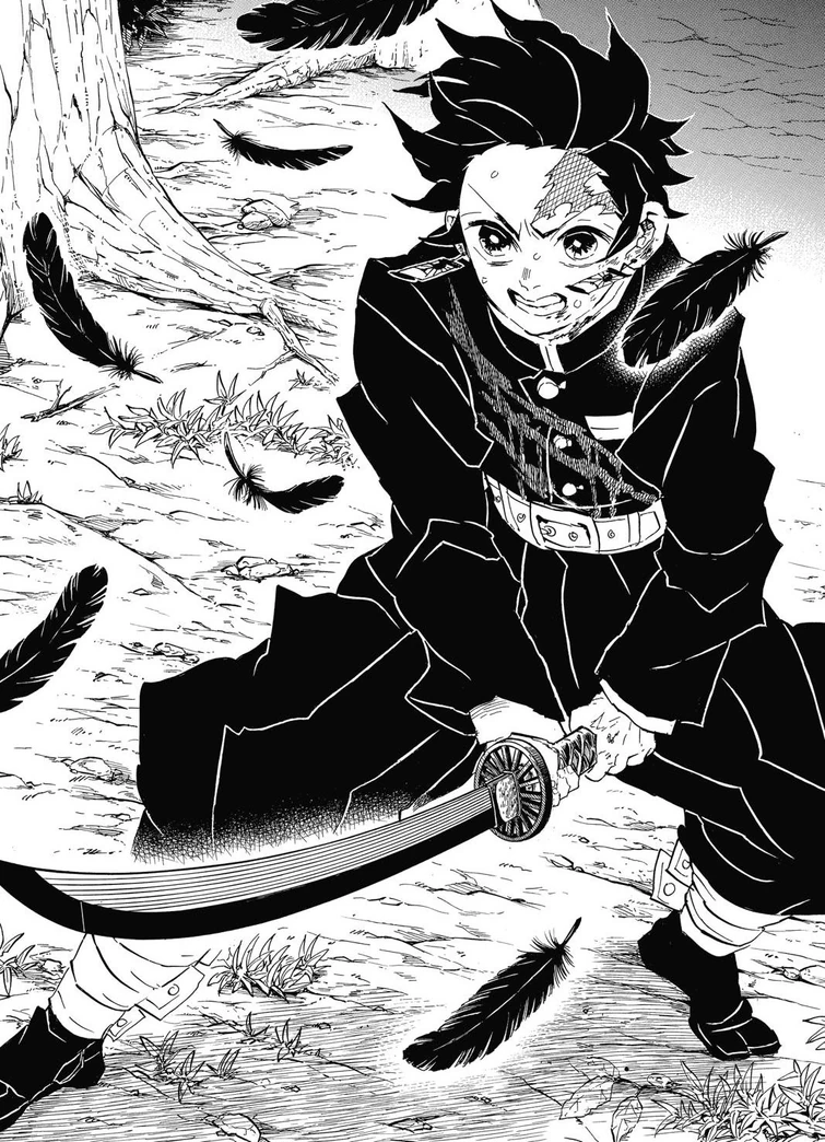 What are your thoughts on these manga panels? | Fandom