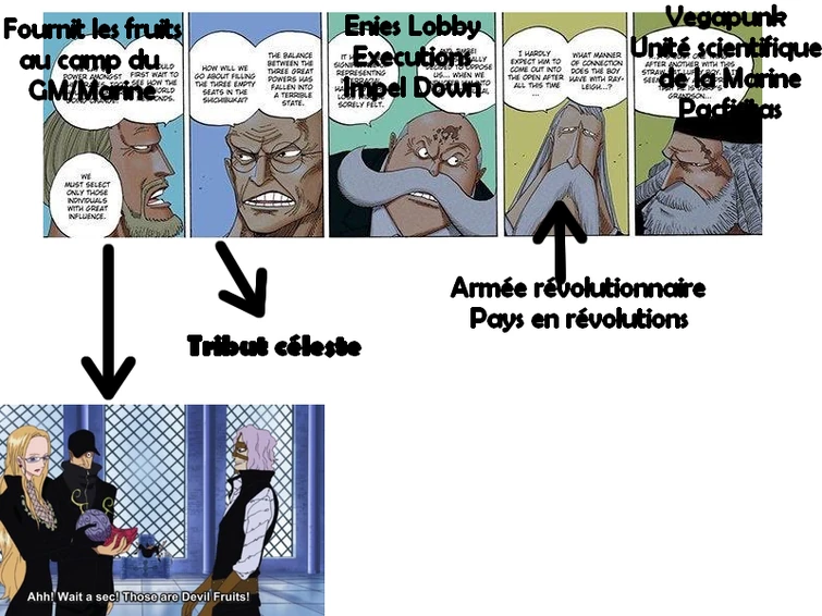 Le rôle des 5 | Fandom