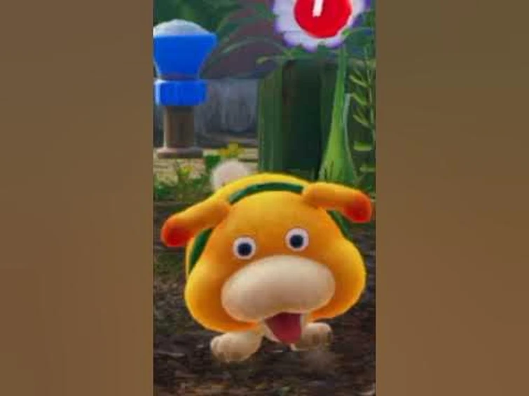 silly dog dance | Fandom