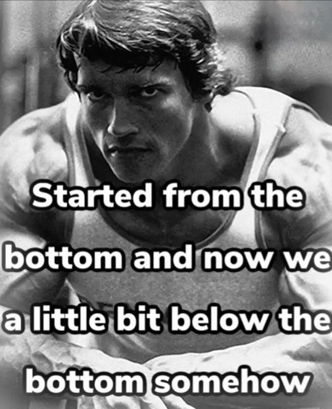 this is just the first week of 2026 | Fandom