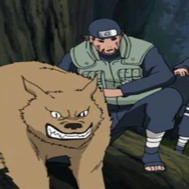 Which Dog Would You Want As Your Ninja Dog From The Inuzuka Clan? | Fandom