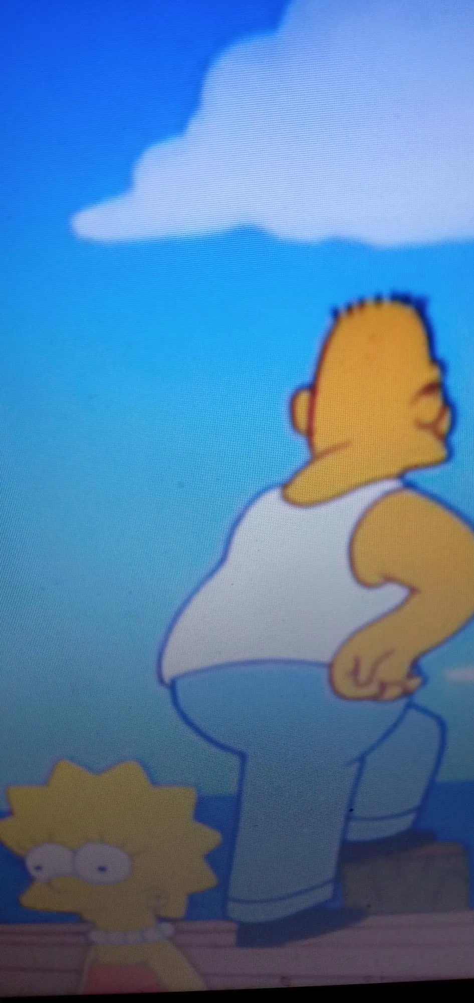 Fat old bart wearing homers clothes | Fandom